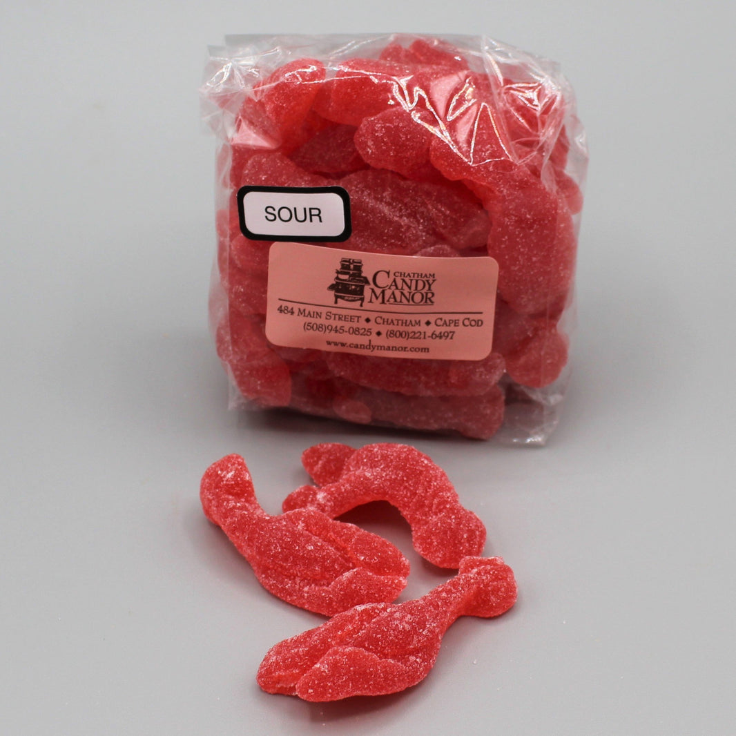 Bagged Favorites – Chatham Candy Manor